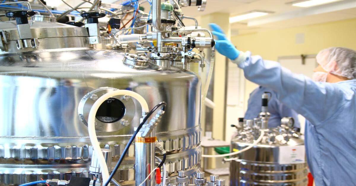 Producent av covid-19 vaccin investerar och växer